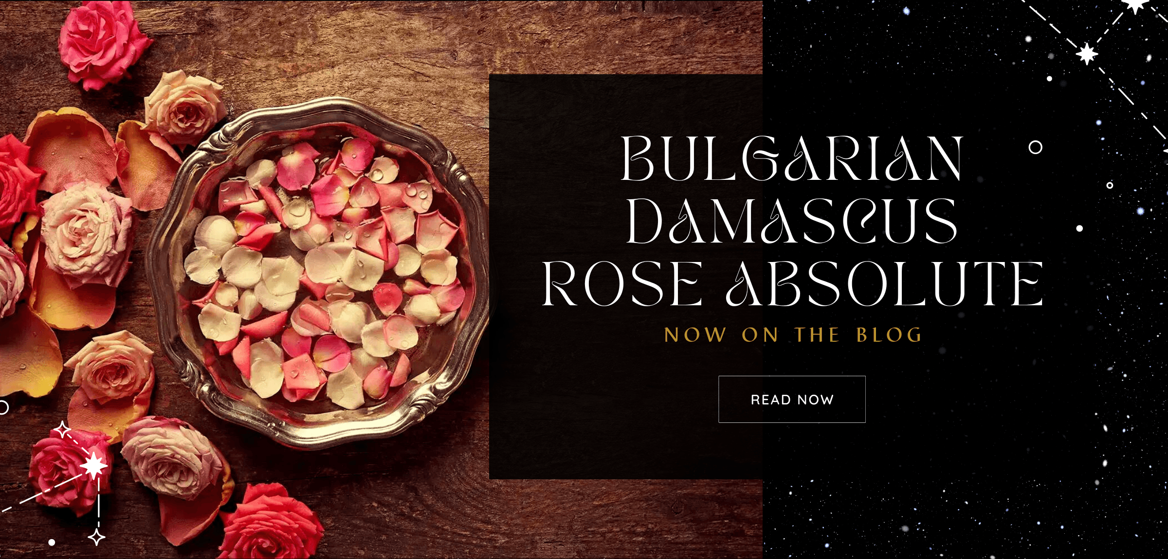 The Healing Powers of Bulgarian Damascus Rose Absolute... – Alchemyst LLC
